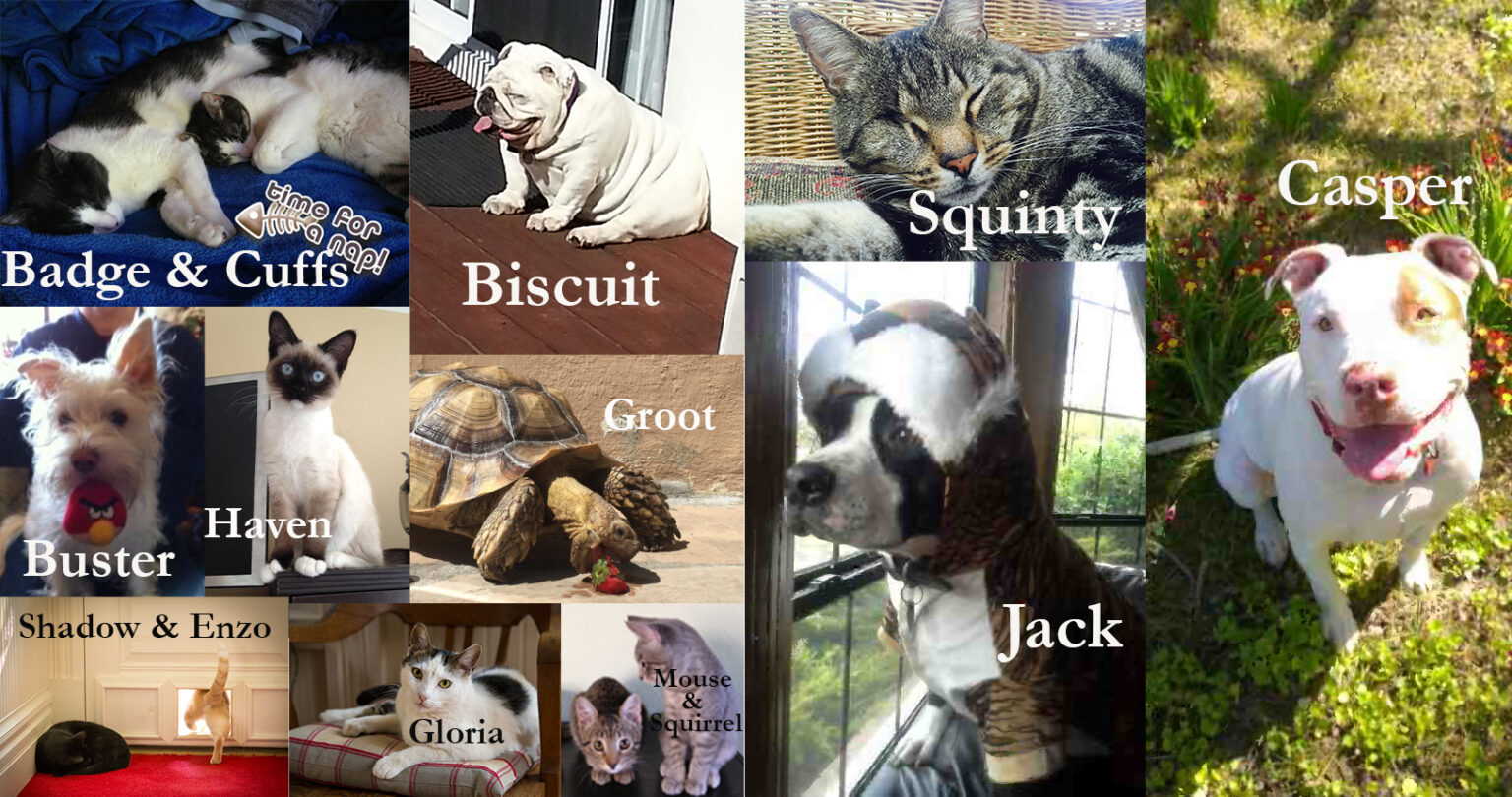 Pet Page | Brayton Purcell LLP - Our Furry Friends